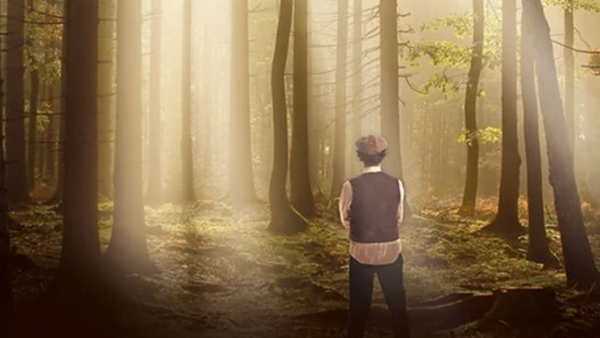 Insights into the First Vision – Cedar Fort Publishing & Media